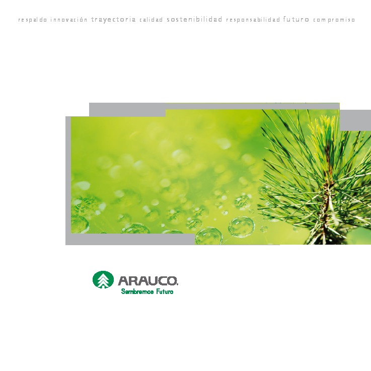 ARAUCO Chile | Araucoply