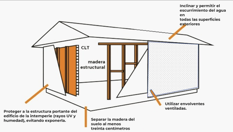 hilam_ - Arauco Chile