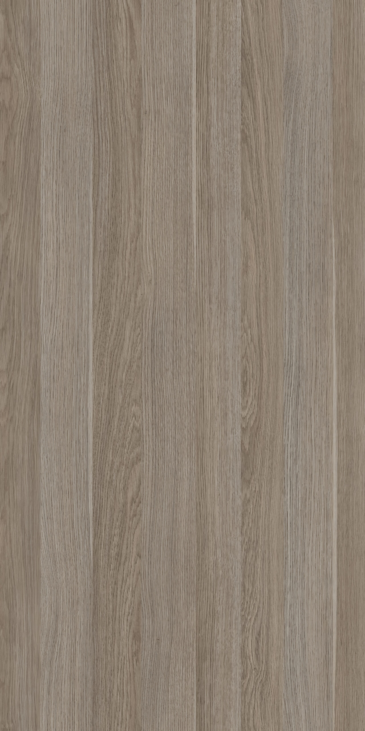 CENDRA ESCANDINAVO - Arauco Perú