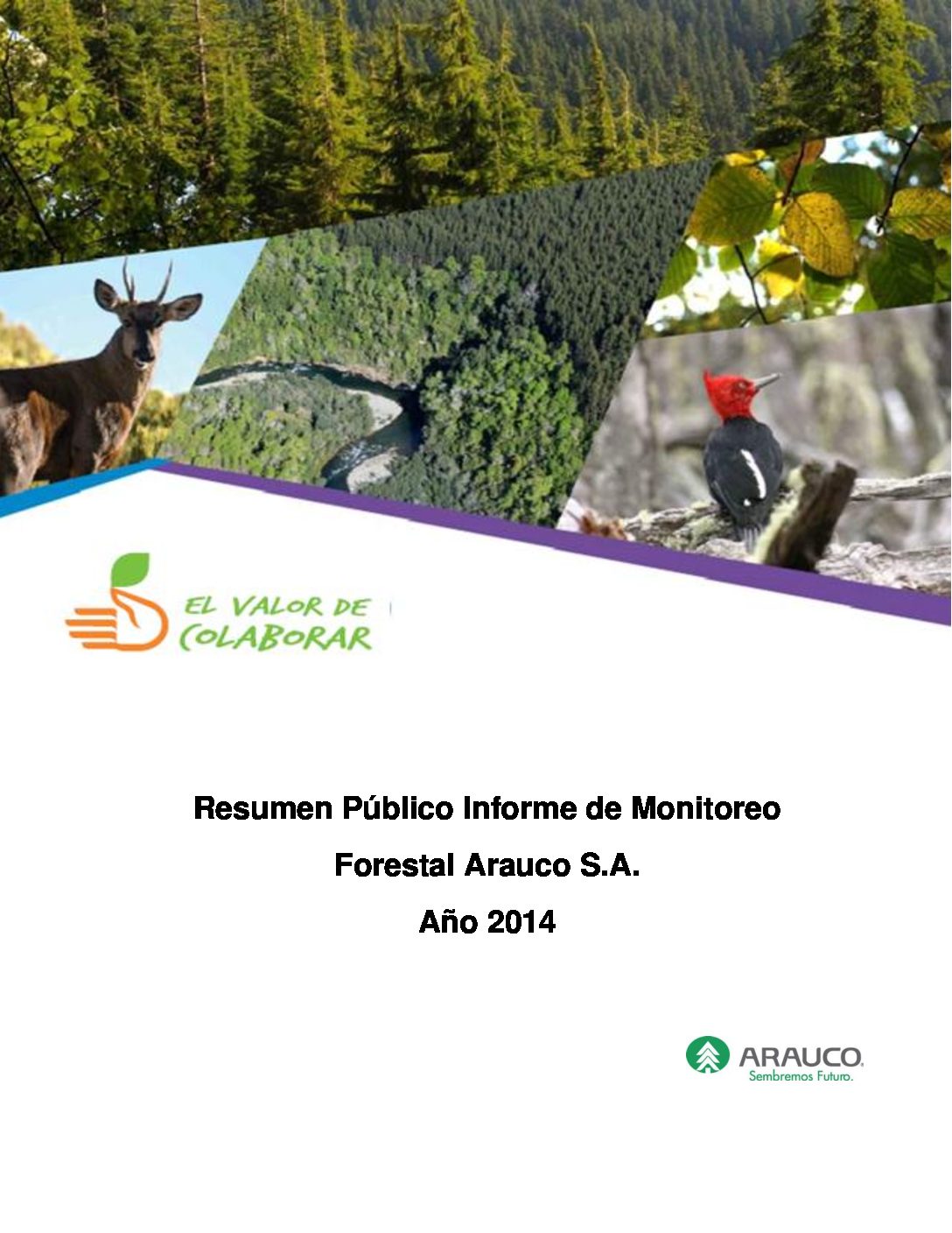 Informe Público Monitoreo 2014 - Arauco